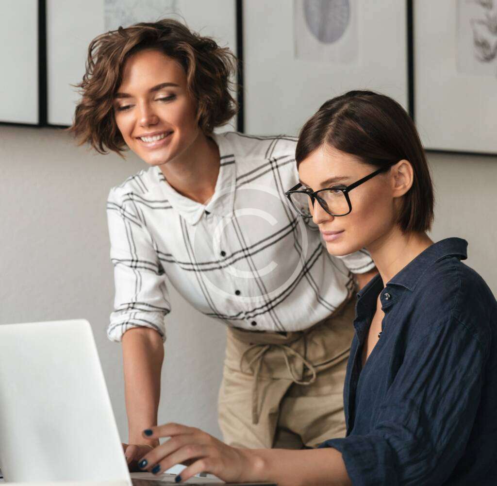 Individual approach – Integrated Project Management System