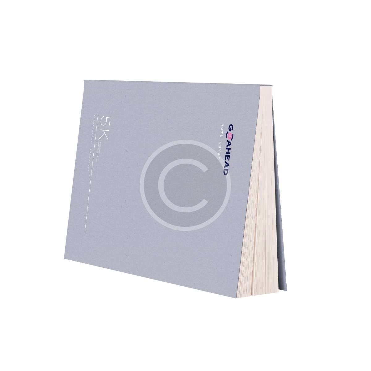 Business diary – Integrated Project Management System